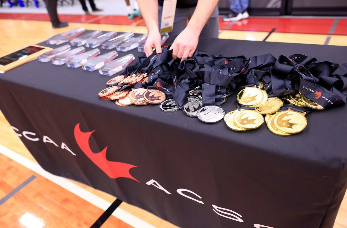 Custom Sports Awards | Nothers the Award Store